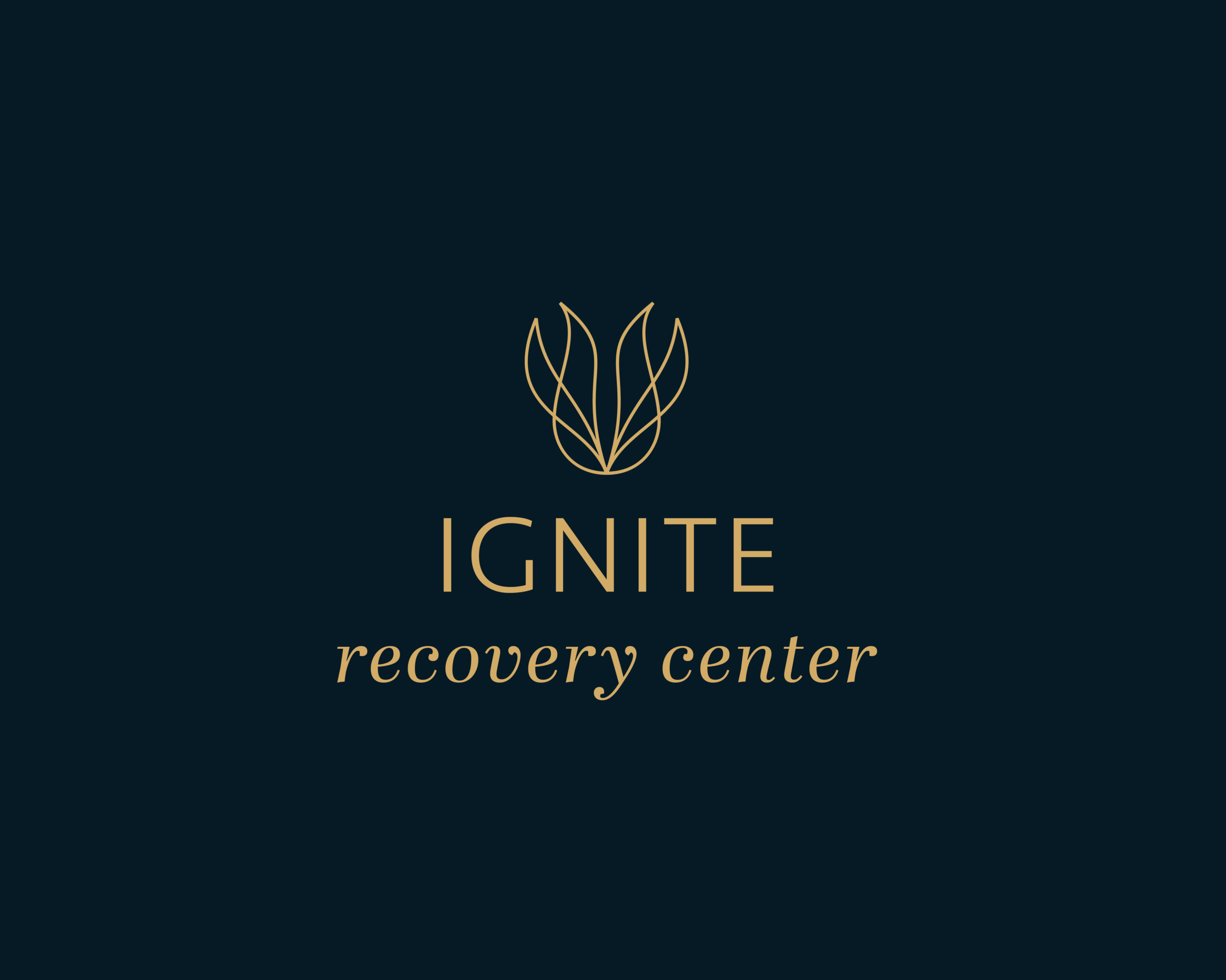 Home - Ignite Recovery Center